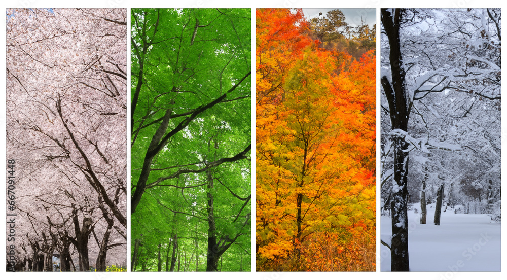 春夏秋冬のコラージュ背景画像 Stock Photo | Adobe Stock