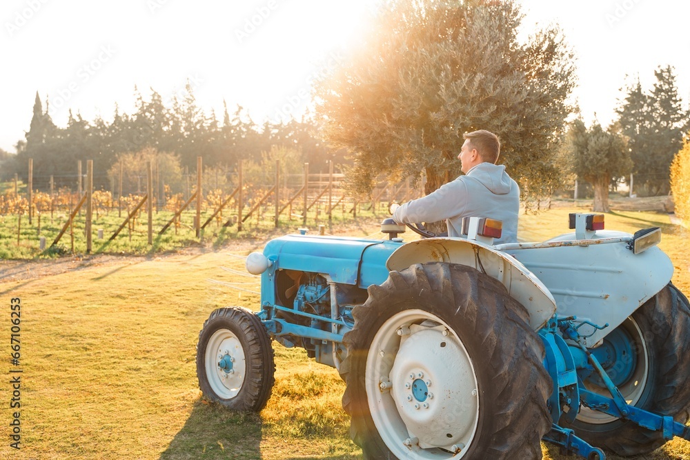 Vineyard with tractor. Agriculture, farming landscape. Rural beauty ...