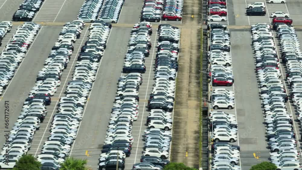 Vidéo Stock Discover your next adventure companion from above. Our ...