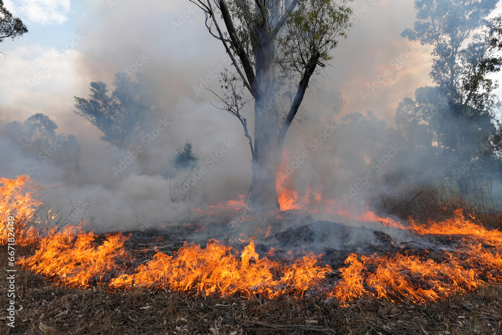 A stunning veld fire in a field in between a suburb and a railway ...