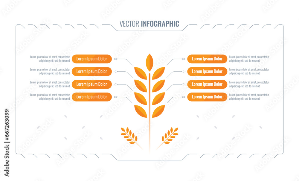spike, wheat infographic, spike-themed infographic. infographic ...