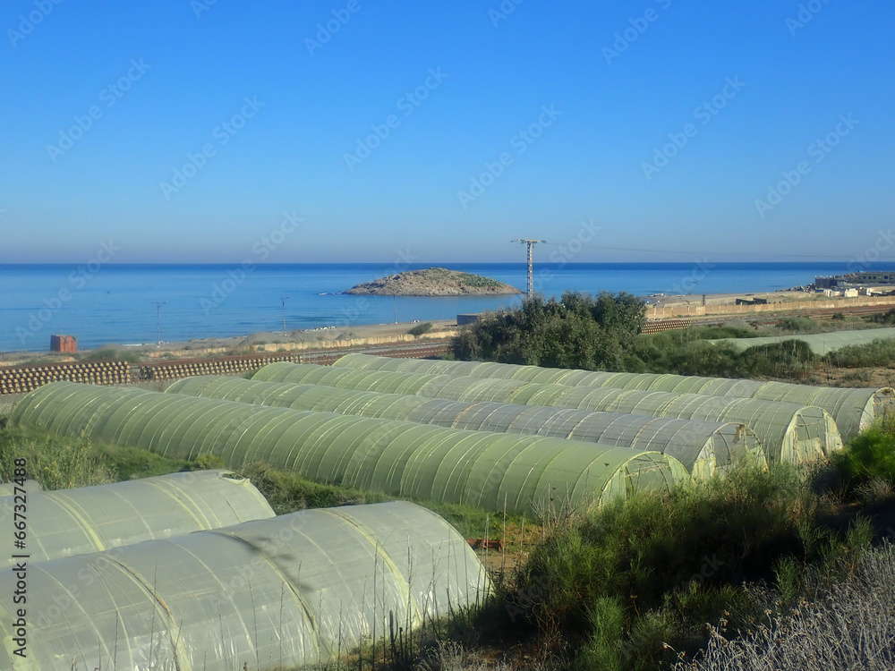 Greenhouse farms in state of Jijel, Algeria, growing eggplant ...