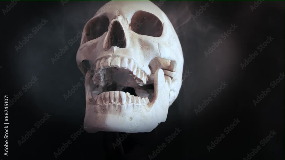 Model of human skull in thick smoke slow rotates on isolated black ...