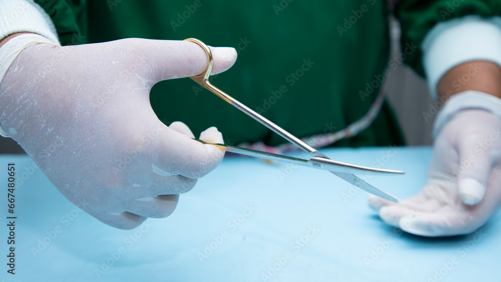 Man's hand in a white glove holding stainless medical scissor. This ...