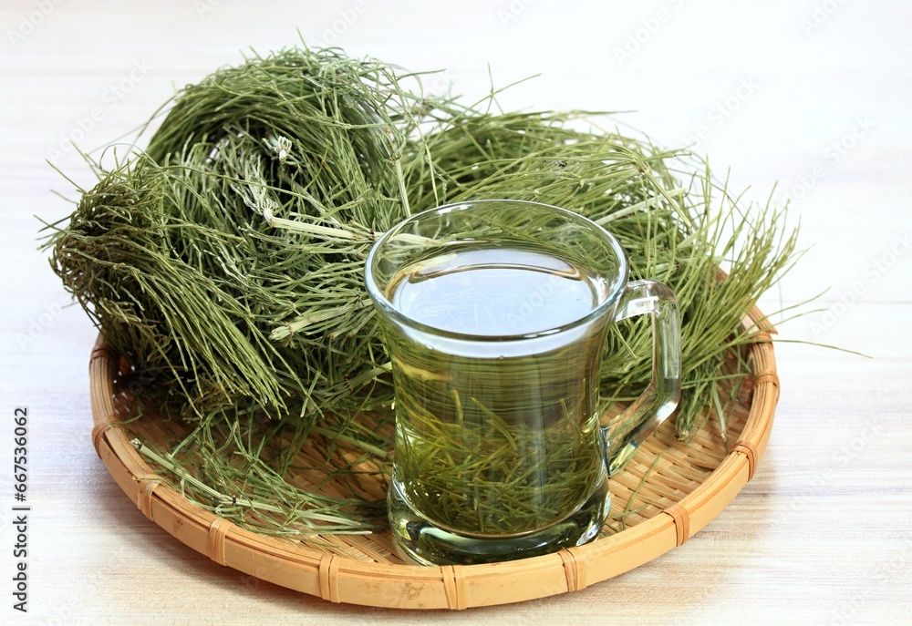 Herbal tea from Equisetum arvense, the field horsetail or common ...