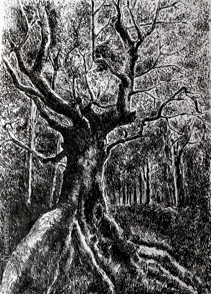 Old tree - illustration. Detailed drawing of a large tree with many ...