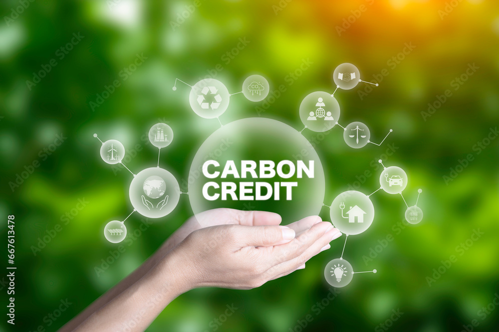 Carbon credit market concept. carbon credit icon in hand. Net zero ...