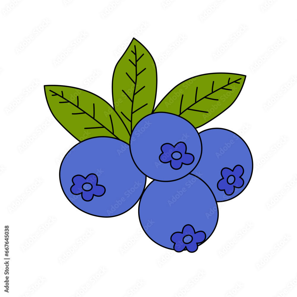 Cartoon Blueberry Fruit Colored. Fruits Coloring Pages For Kids And ...
