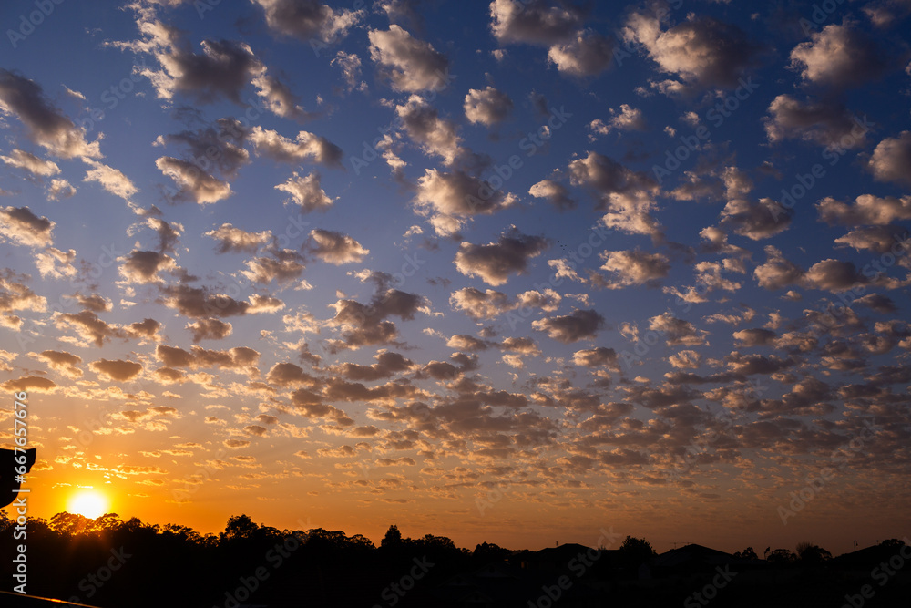 Sunrise sky with dotty clouds and silhouetted trees on skyline Stock ...