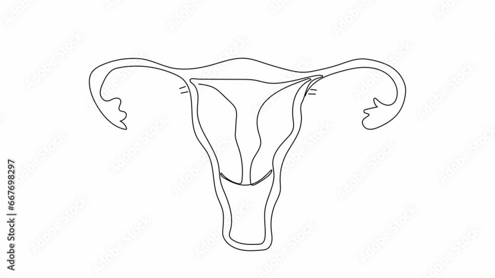 Vídeo do Stock: One continuous single drawing line art doodle uterus ...