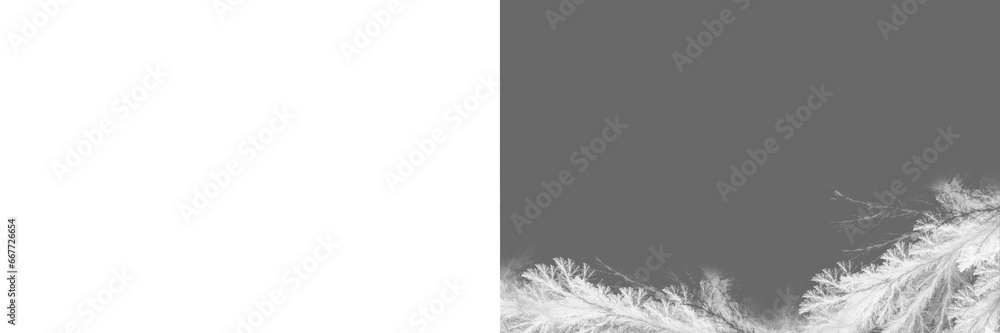 Frostwork, snow frost , frozen ice crystals frame on transparent ...