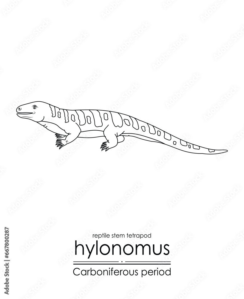 Hylonomus, the oldest reptile (stem tetrapod) without any doubt ...