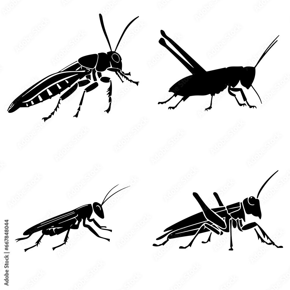 grasshopper silhouette, grasshopper svg, grasshopper png, grasshopper ... grasshopper silhouette, grasshopper svg, grasshopper png, grasshopper ...
