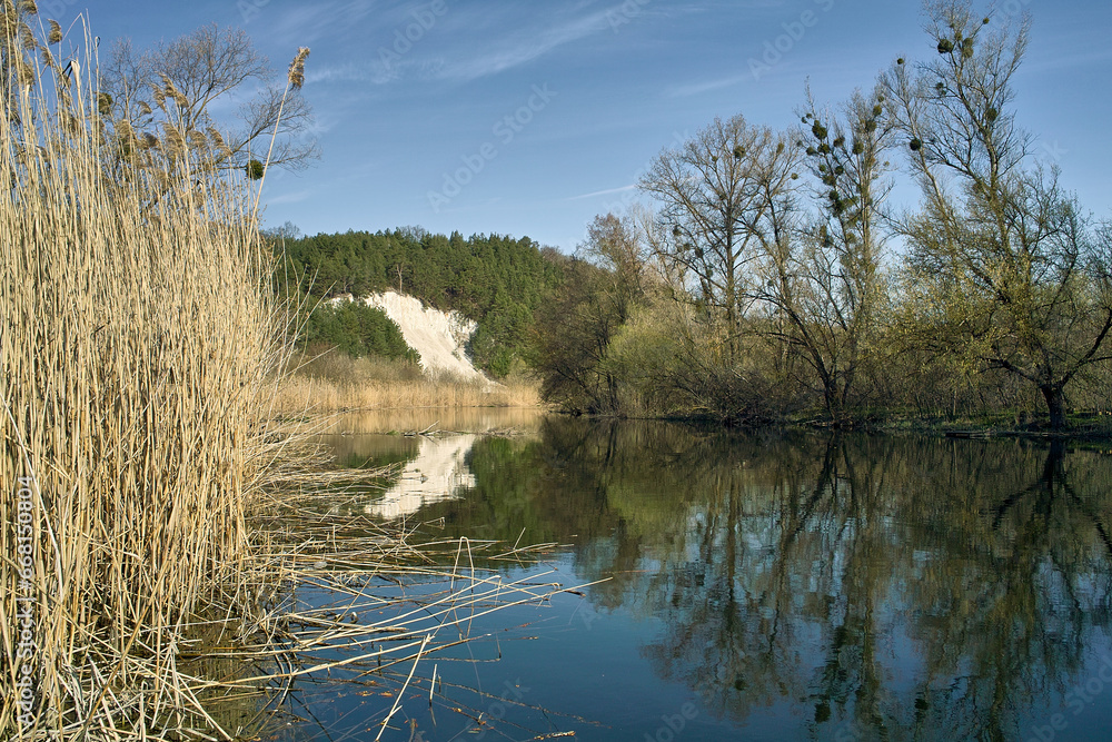 The warm spring sun illuminates a small forest river, the calm surface ...