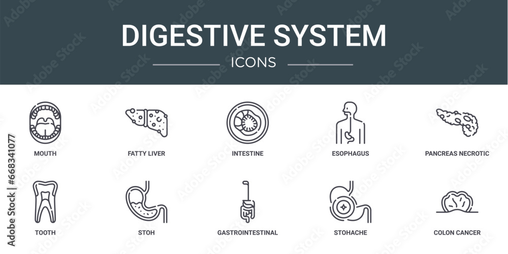 set of 10 outline web digestive system icons such as mouth, fatty liver ...