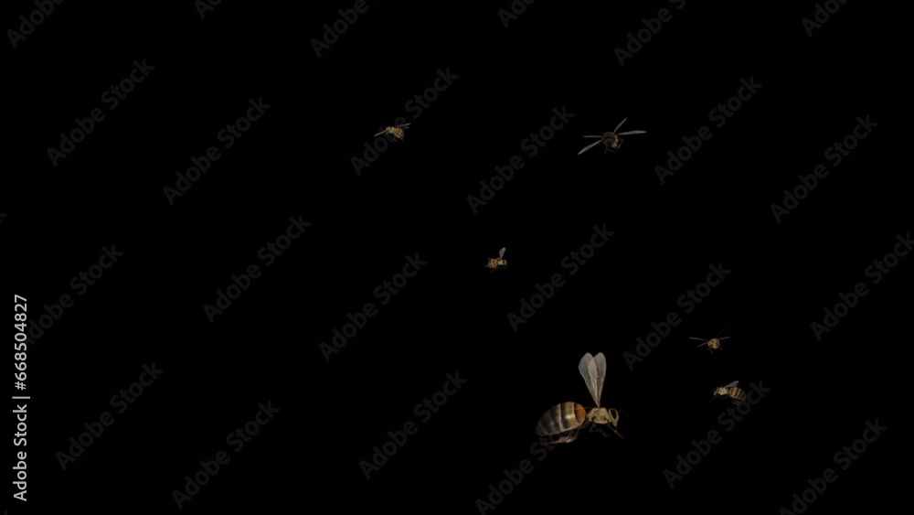 Honey Bee Swarm - Flying Around Screen - 3D Animation Loop - Realistic ...