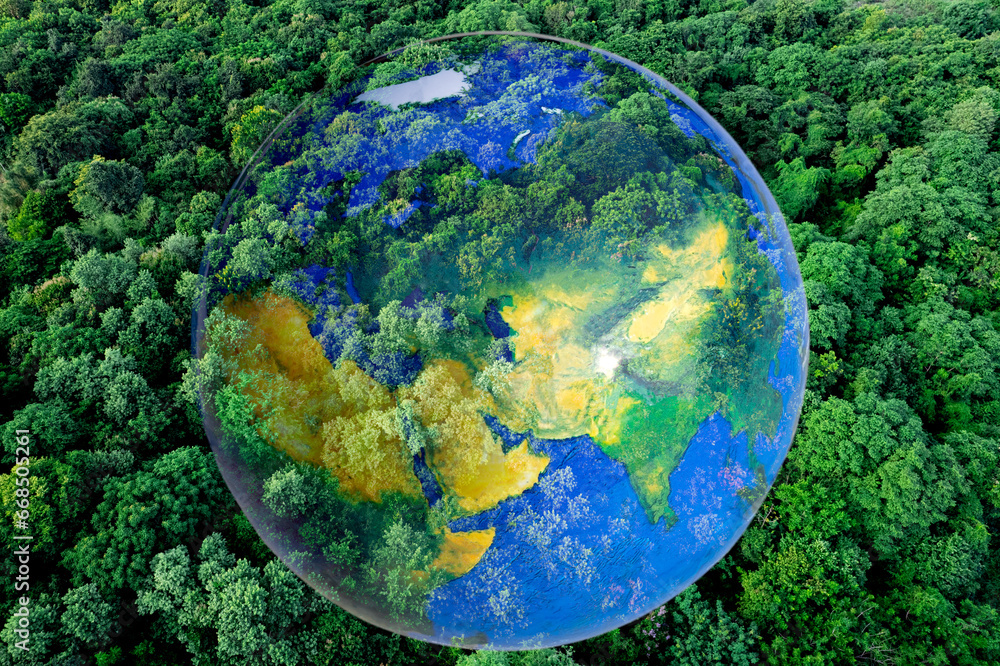 Aerial view of the green forest against the land. Demonstrates the ...