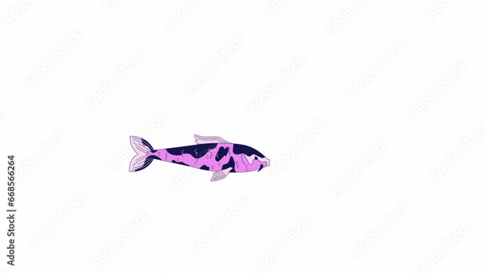 Spotted carp koi swimming line 2D character animation. Oriental fish ...