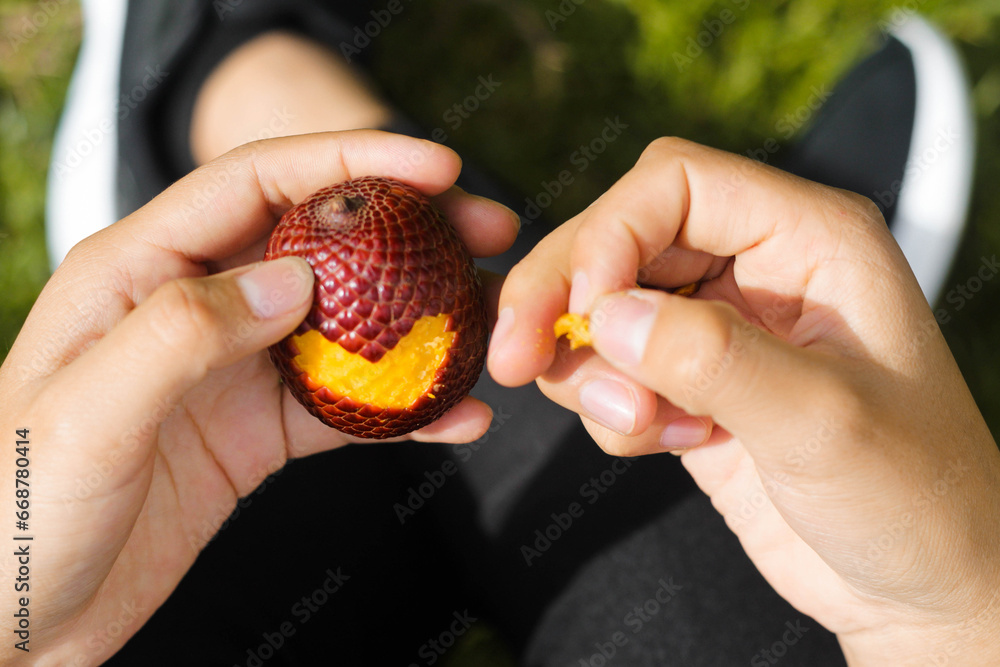 aguaje rico y natural en la mano de una hermosa mujer. , aguaje fresca ...