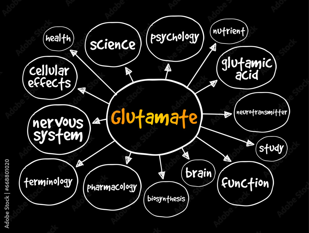 Glutamate - abundant excitatory neurotransmitter released by nerve ...