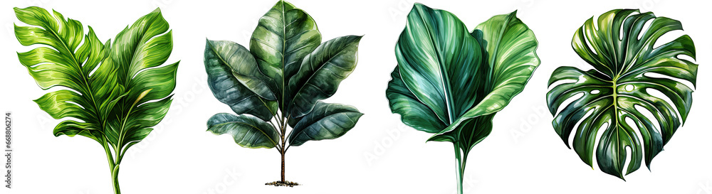 Modern watercolor green tropical leaves, clip art Botanical ...