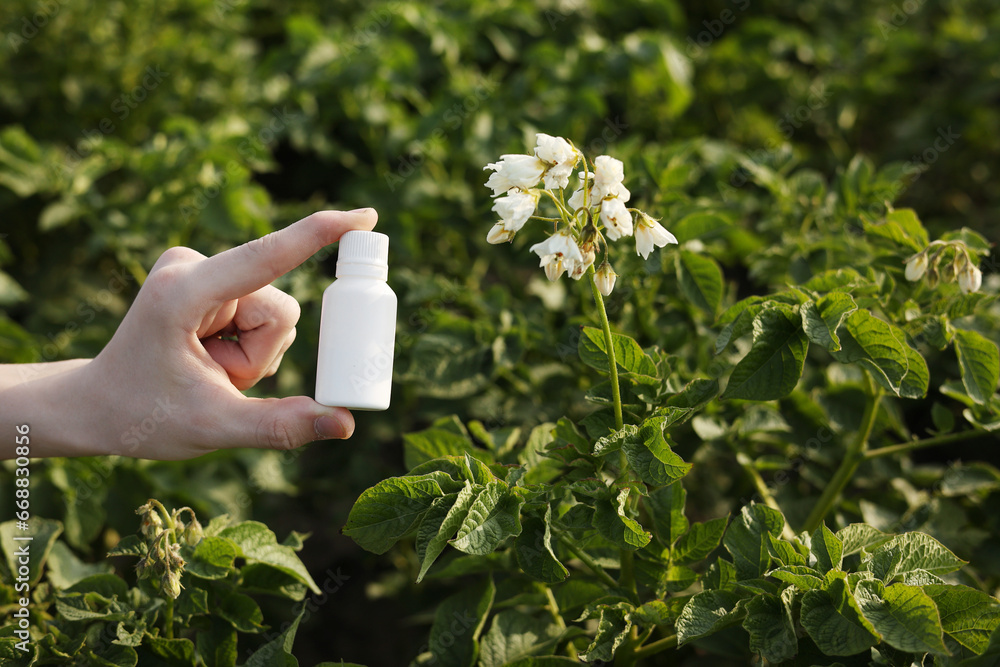 Garden season problems and solution. Cropped photo hand of farmer holds ...