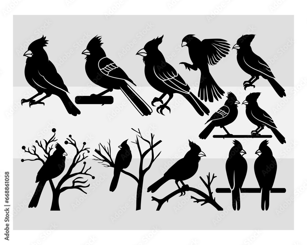 Cardinal Svg, Cardinal Silhouette, Bird Svg, Red Cardinal, Cardinal Png ...