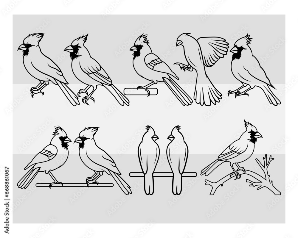 Cardinal Svg, Cardinal Outline, Bird Svg, Red Cardinal, Cardinal Png ...