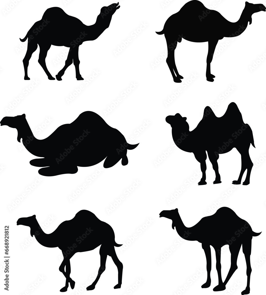Vecteur Stock Set of Camels Fill graphic icons. Camel black sign ...