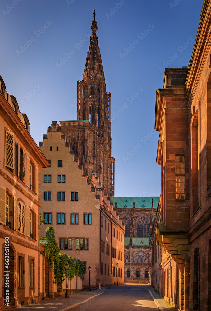 Poster Facade and the spire of Notre Dame Cathedral and ornate ...
