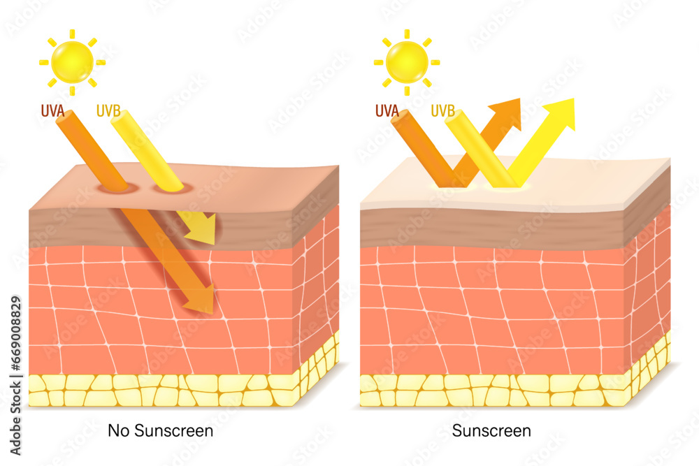 UV Protection. Penetration into the human skin. The difference between ...