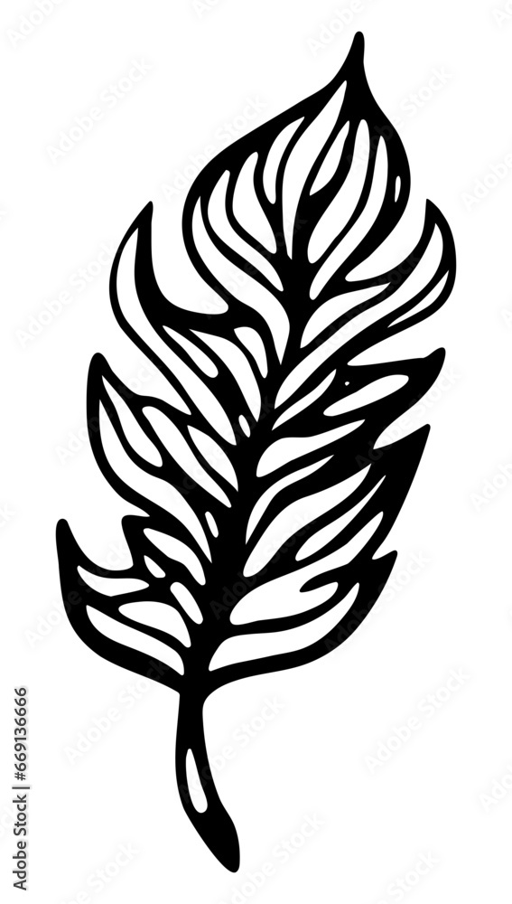 Feather. Line art hand drawn illustration. Doodle art. Black vector ...