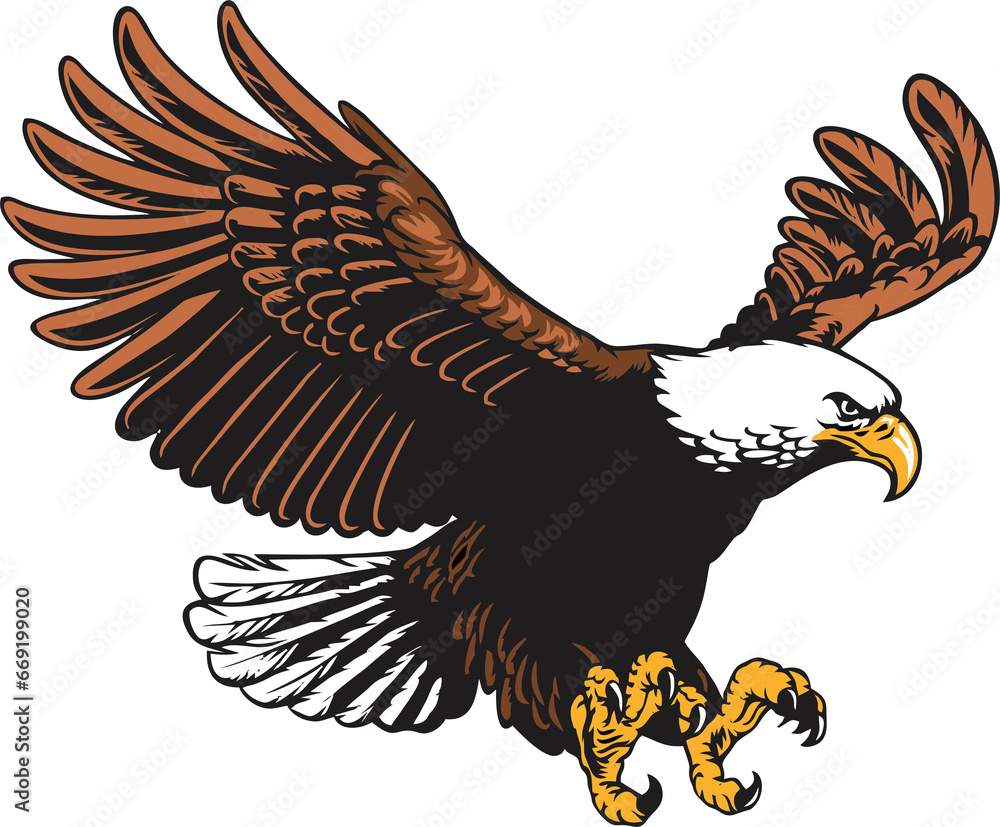 Eagle swoop attack position. Hawk bird, Eagle in high resolution on ...