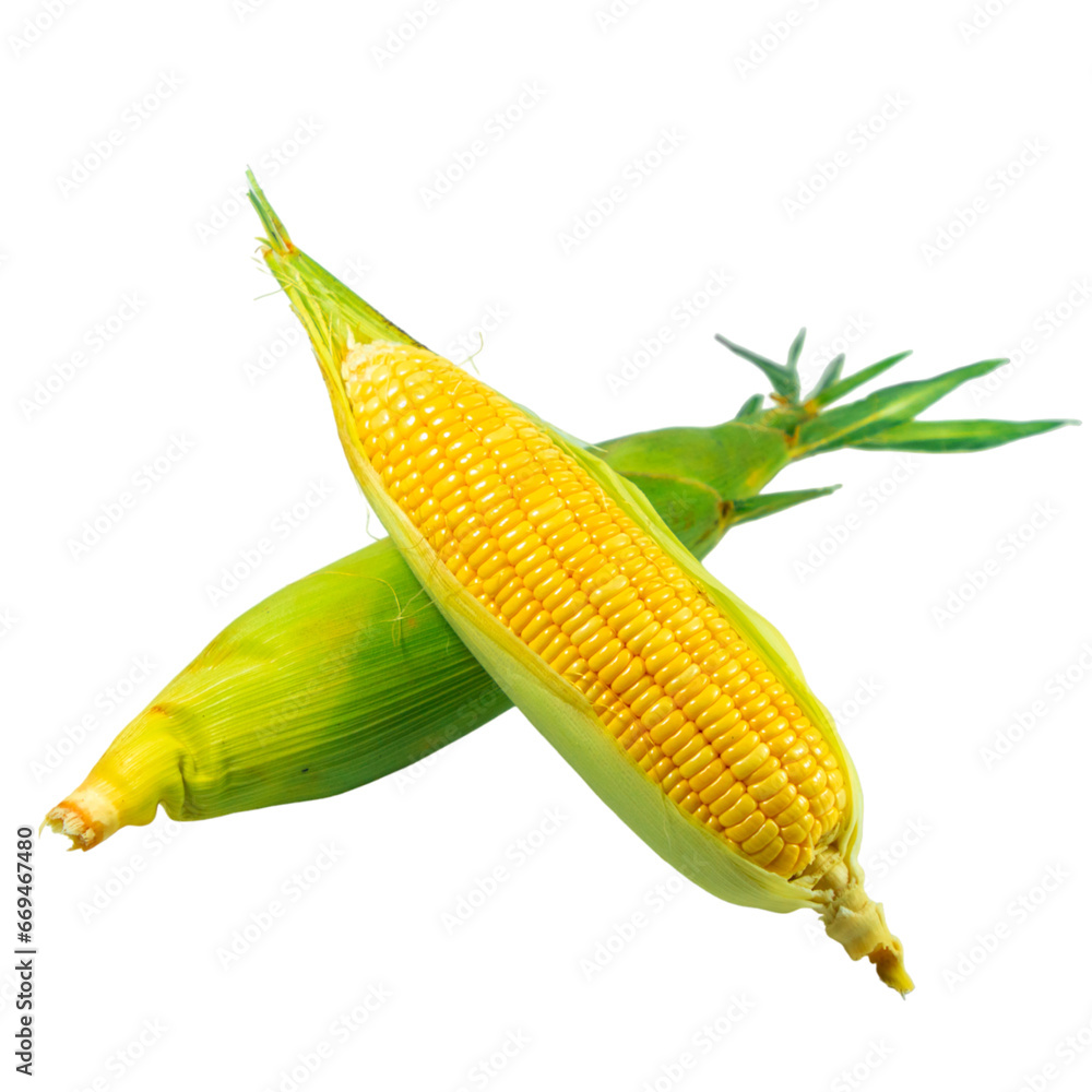 Corn with skin or without skin isolated on white background. A ...