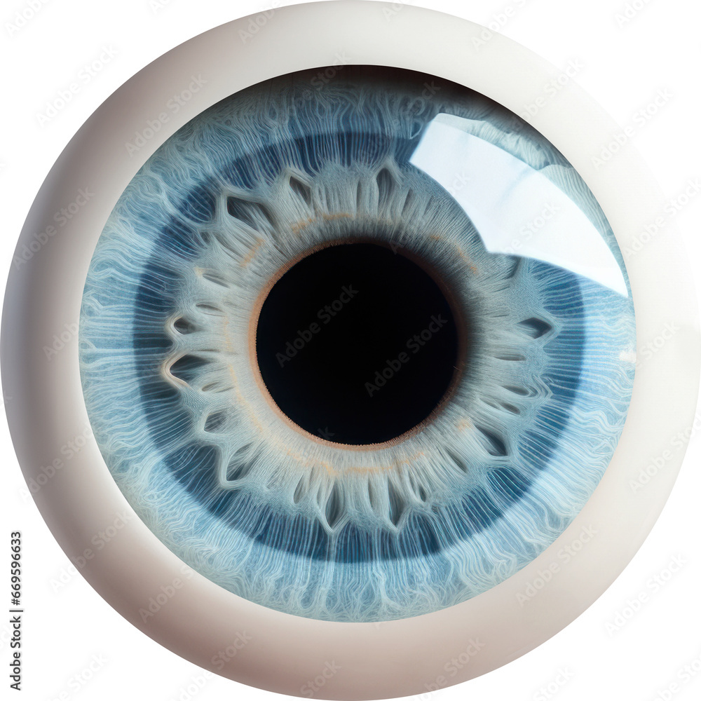 eyeball transparent background PNG clipart Stock Illustration | Adobe Stock
