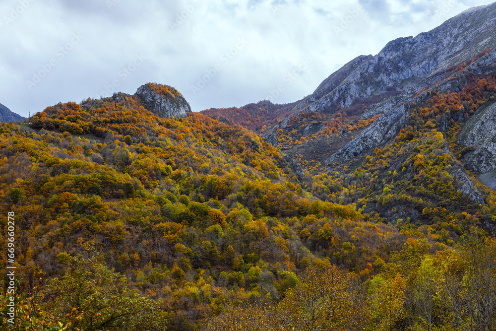 Foto de The colors of autumn. Autumn is the season of colors in the ...