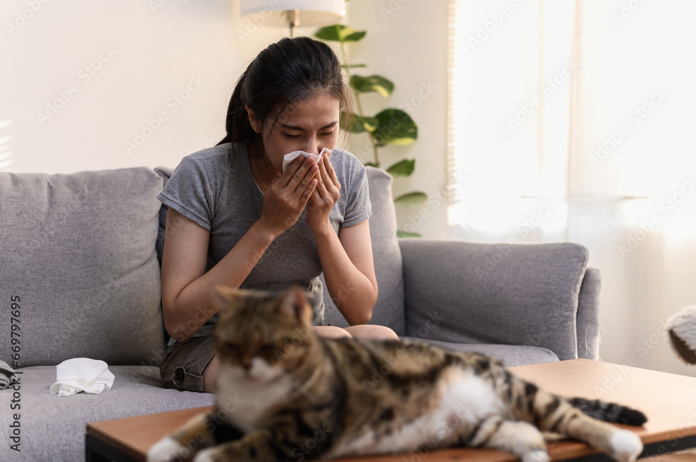 Young Asian woman sneezing which suffering from first symptoms of cat's ...