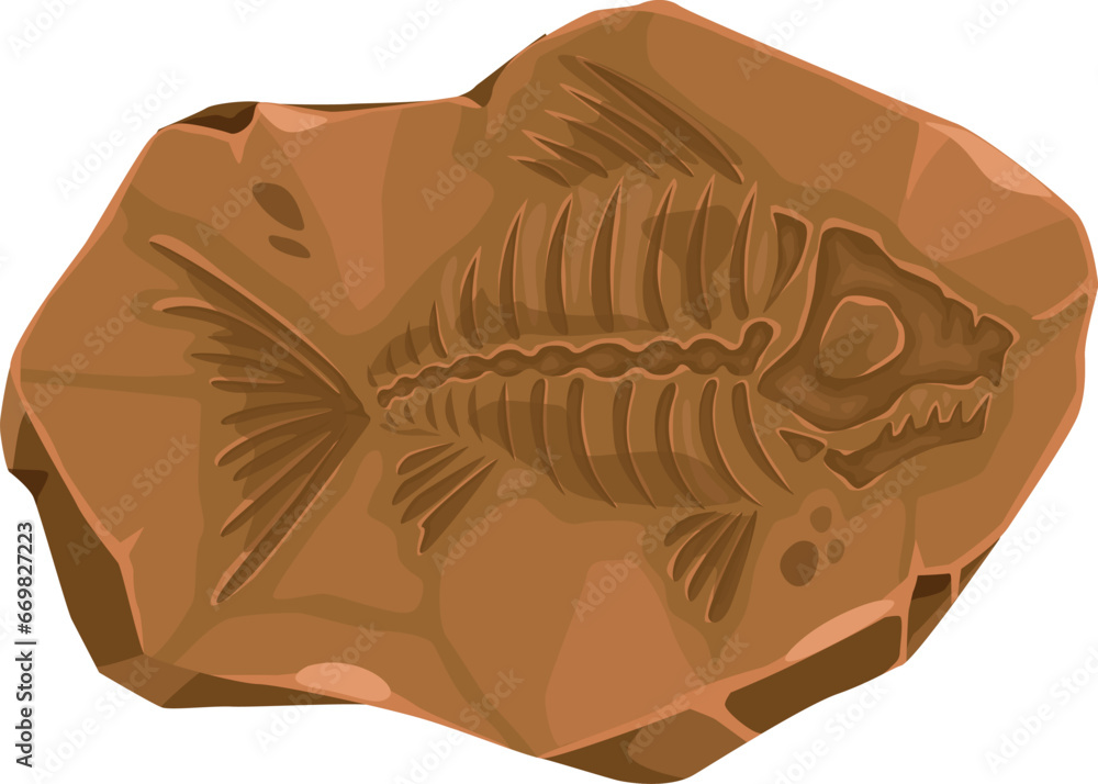 Ancient fish fossil imprint in stone. Prehistoric aquatic animal bones ...