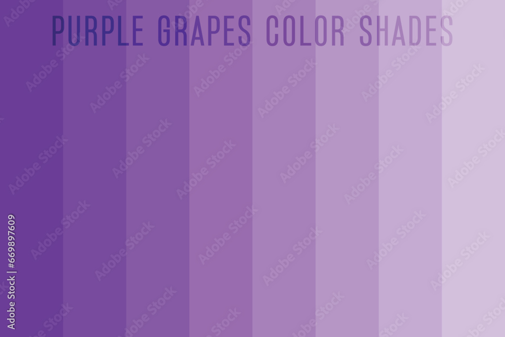 Purple grapes color shades, Grapes fruit color palette vector ...