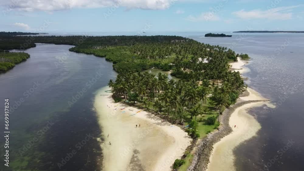Seaweed at doot beach and river mangroves at low tide on Siargao island ...