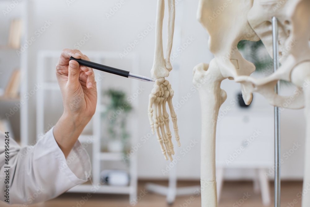 Close up of competent doctor holding black pen and pointing to bone on ...