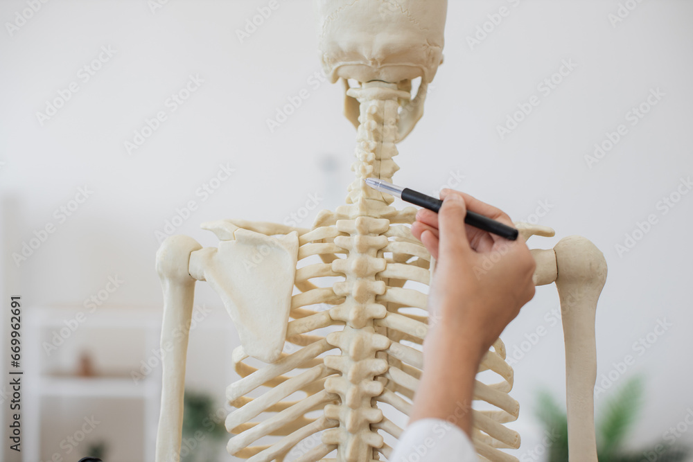 Close up of female doctor touching back of human skeleton with pen in ...
