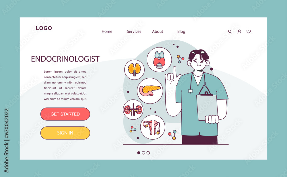 Endocrinology. Endocrine system organs, pancreas thyroid gland ...
