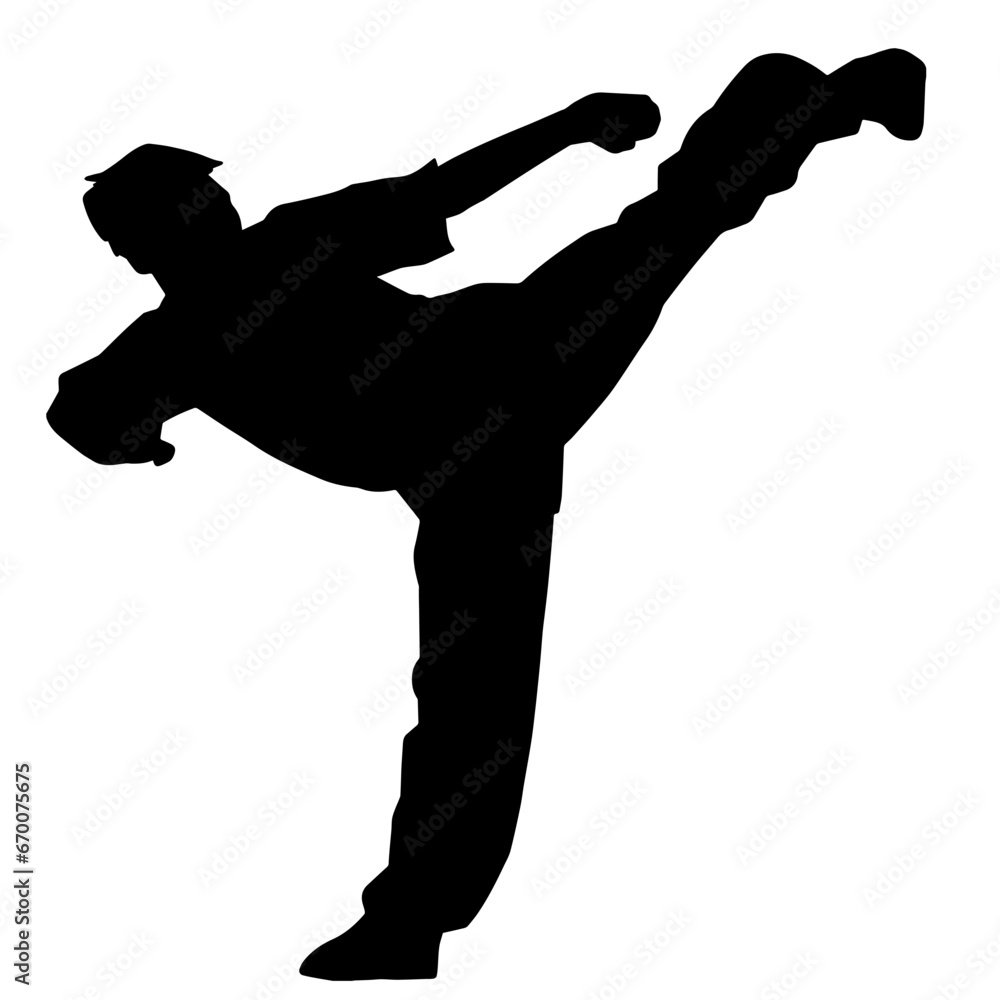 Silhouette of a male doing martial art kick pose. Silhouette of a ...