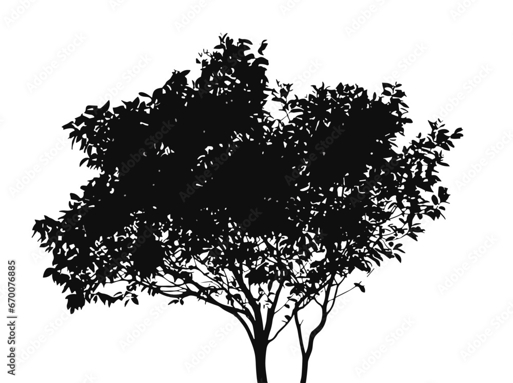 Silhouette black tree isolated on white background, tropical tree with ...