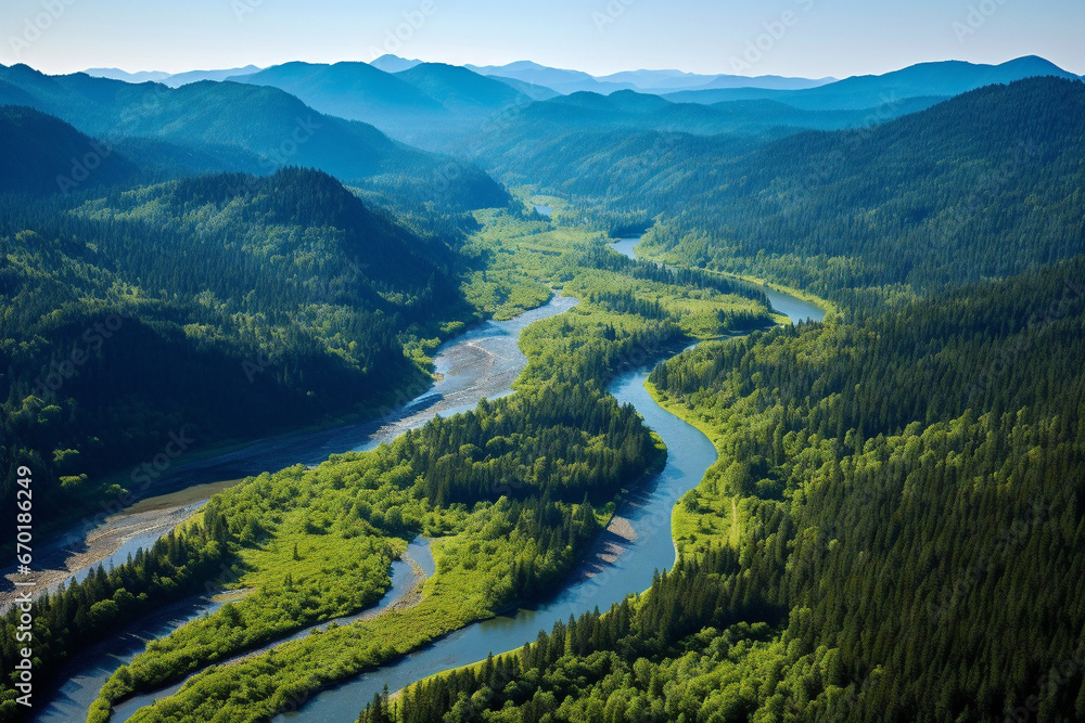 awe-inspiring aerial view of a vast, untouched wilderness from a bird's ...