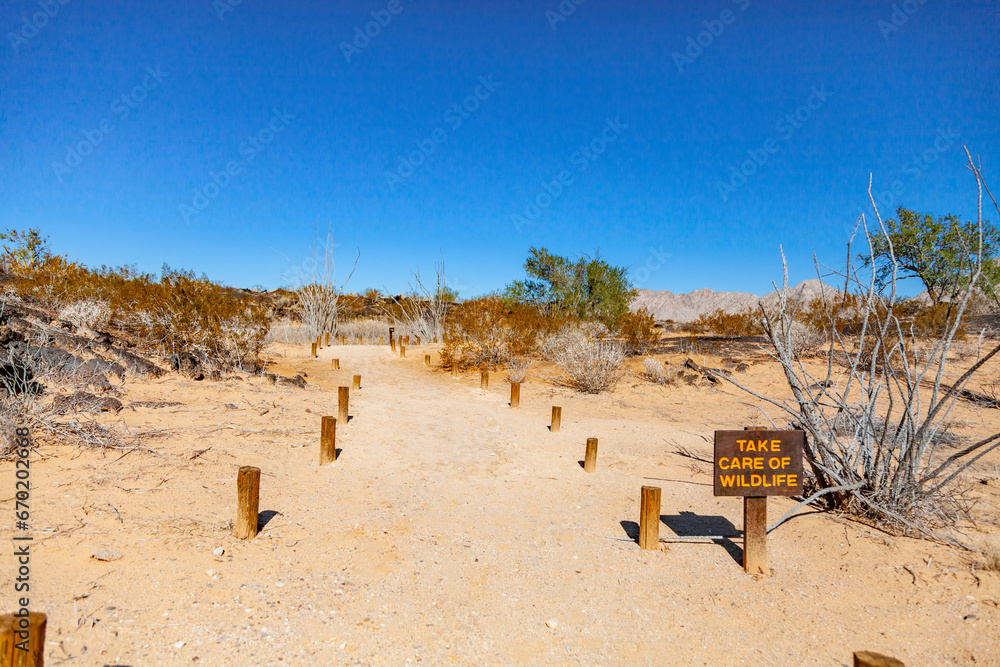 Reserva de la biosfera el Pinacate en Sonora, México Stock Photo ...