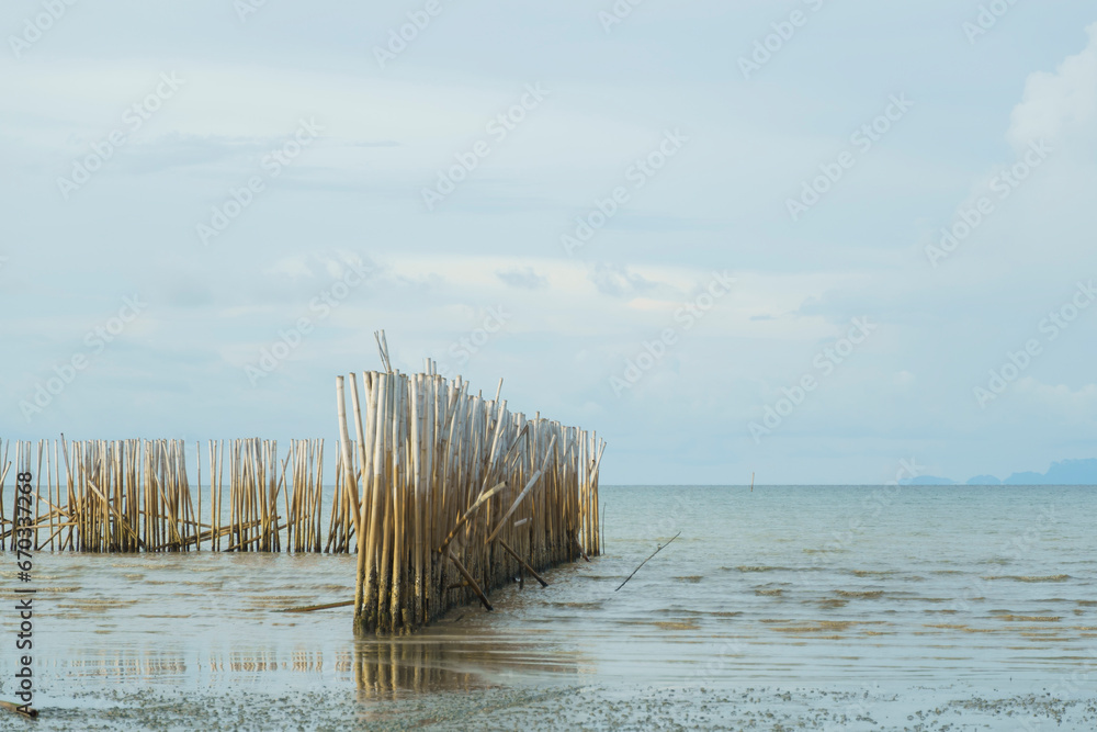 Bamboo fence wall is breakwater for protecting the shore from wave ...