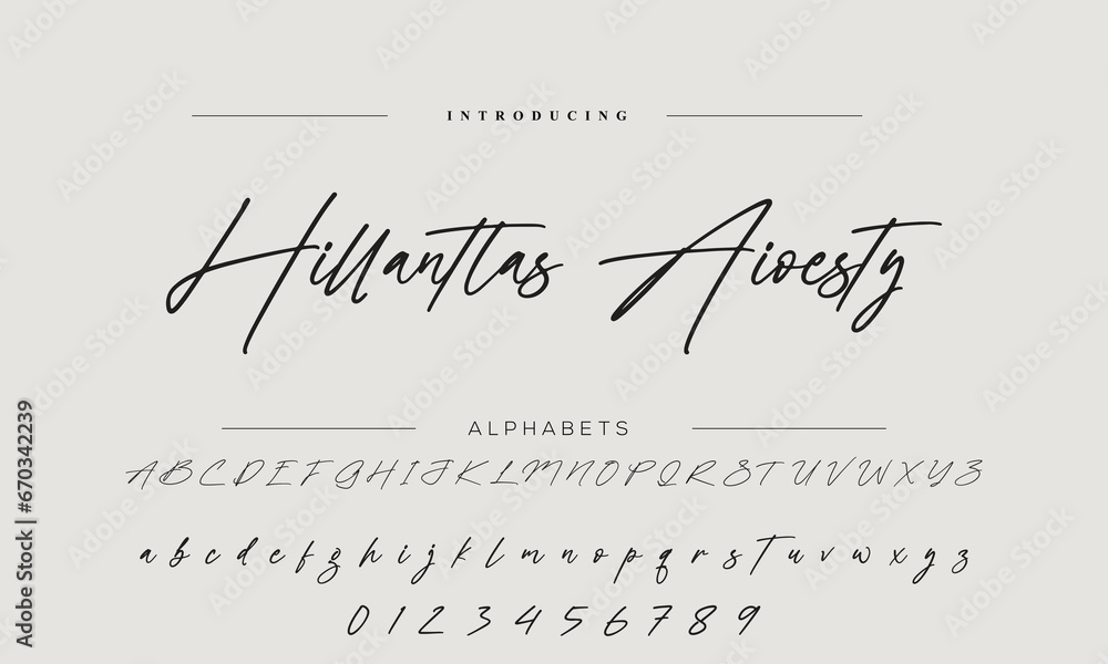 Hand drawn vector alphabet. Script font. Isolated letters written with marker, ink. Calligraphy ...