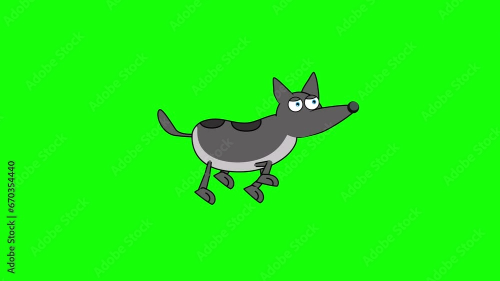 Cartoon grey wolf walking animtion in green screen Stock Video | Adobe ...